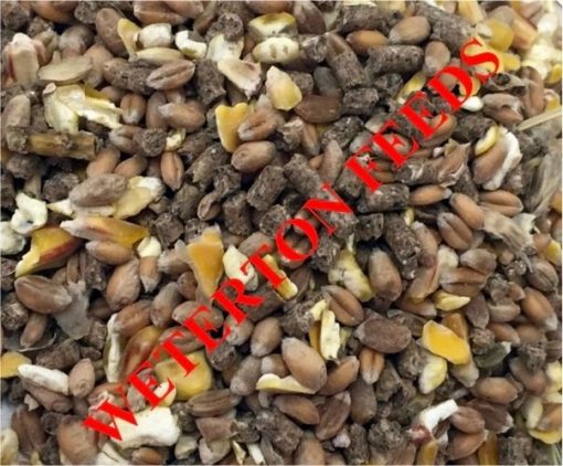 20Kg Mixed Poultry Corn with Layers Pellets & 1Kg Bag of Oyster Shell ...